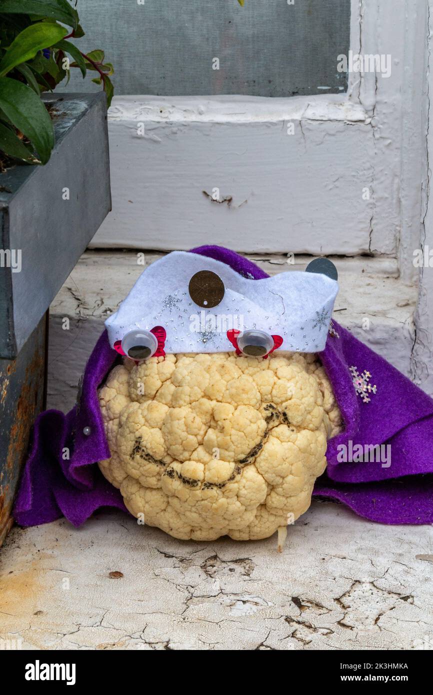 Cauliflower Costume