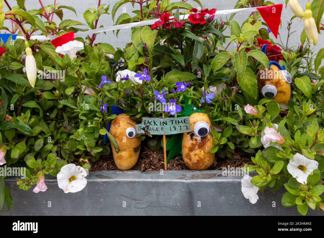 A quirky window box decorated with flowers, bunting and potatoes for ...