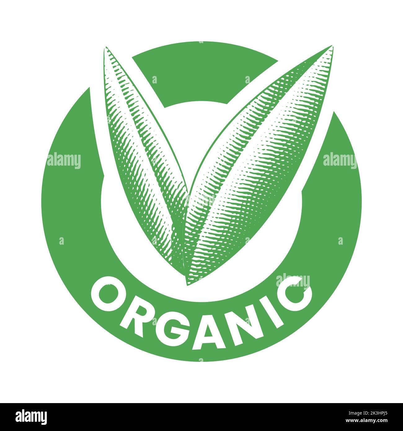 Organic Round Icon with Engraved Green Leaves isolated on a White ...