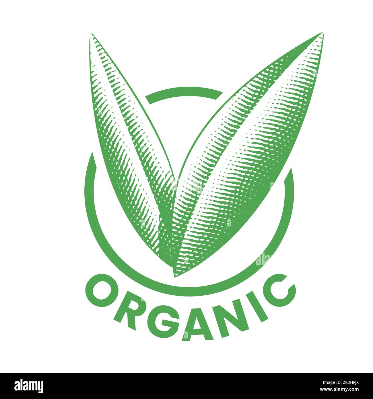 Organic Round Icon with Engraved Green Leaves isolated on a White ...