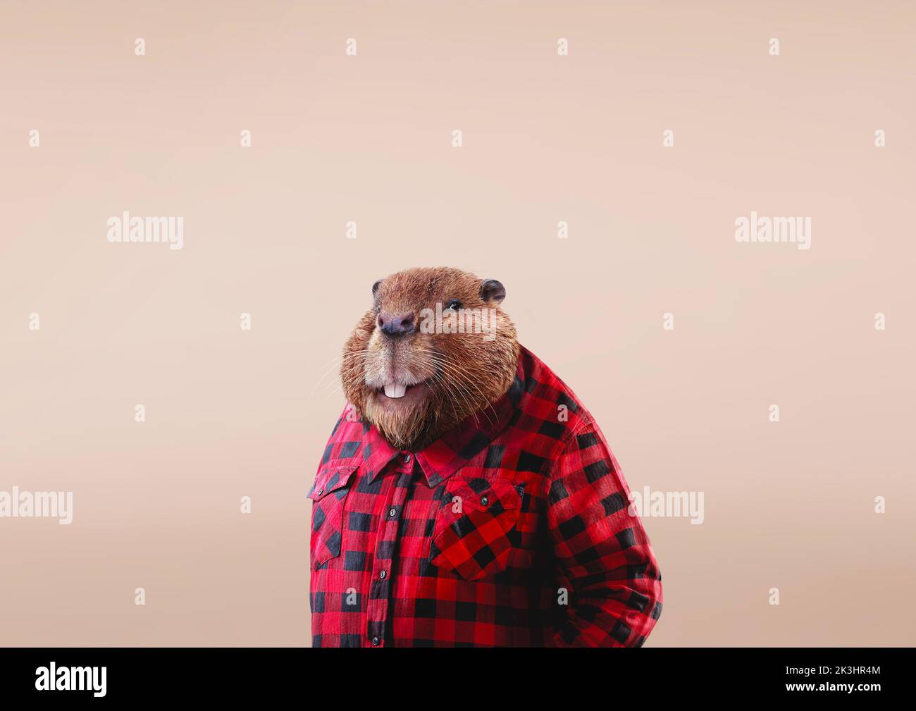 3d nft collection, character rowenta beaver Stock Photo - Alamy