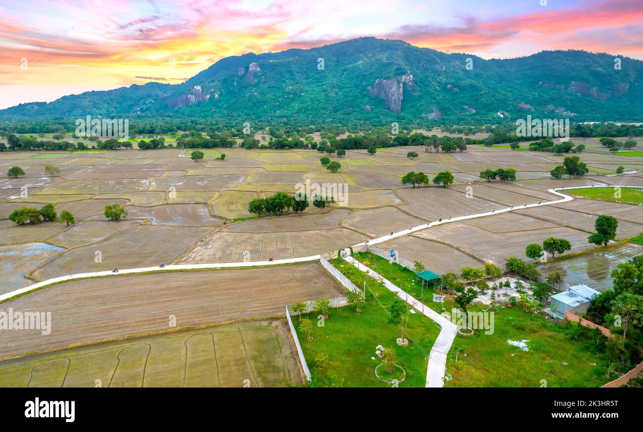 Ta pa field hi-res stock photography and images - Alamy