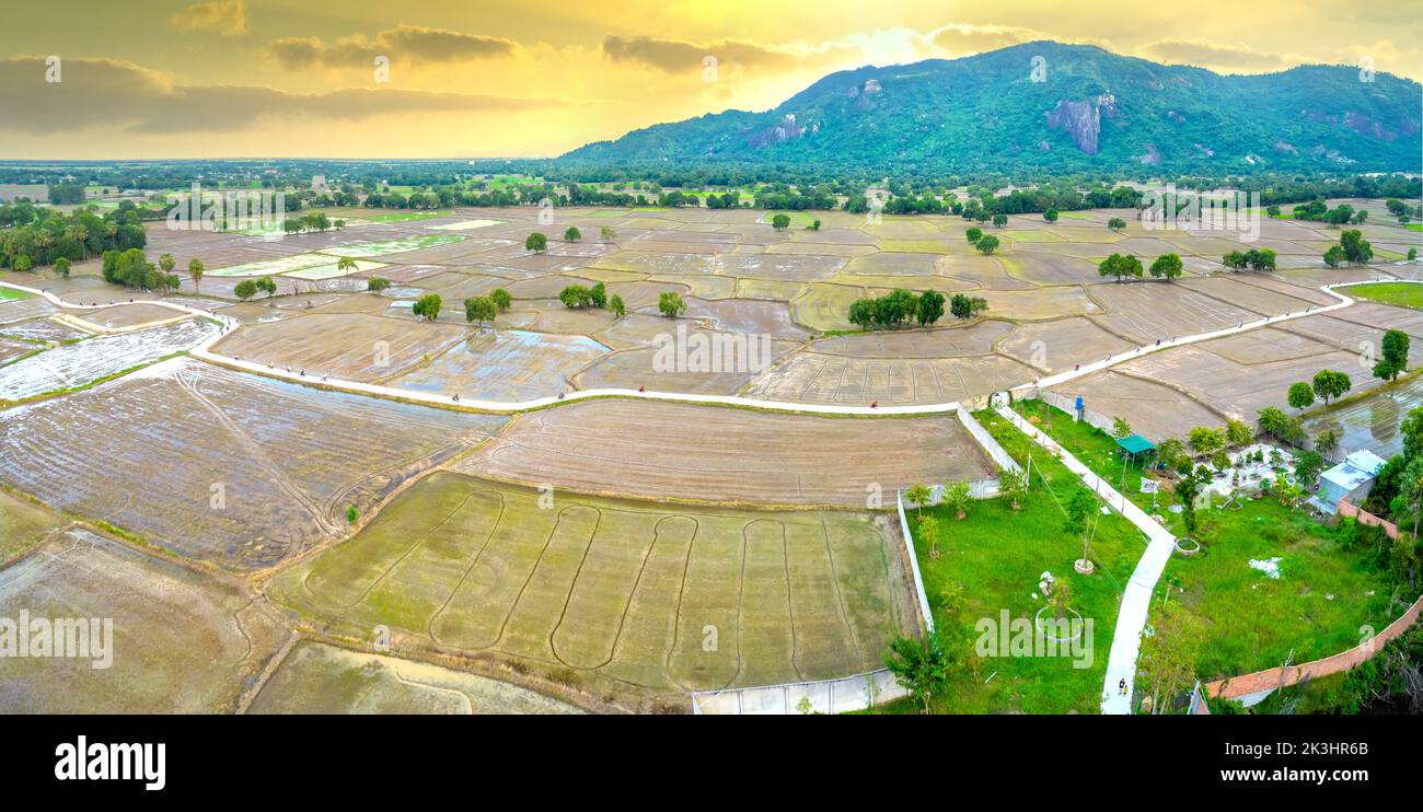 Ta Pa field after the rice harvest in the summer afternoon. This place ...