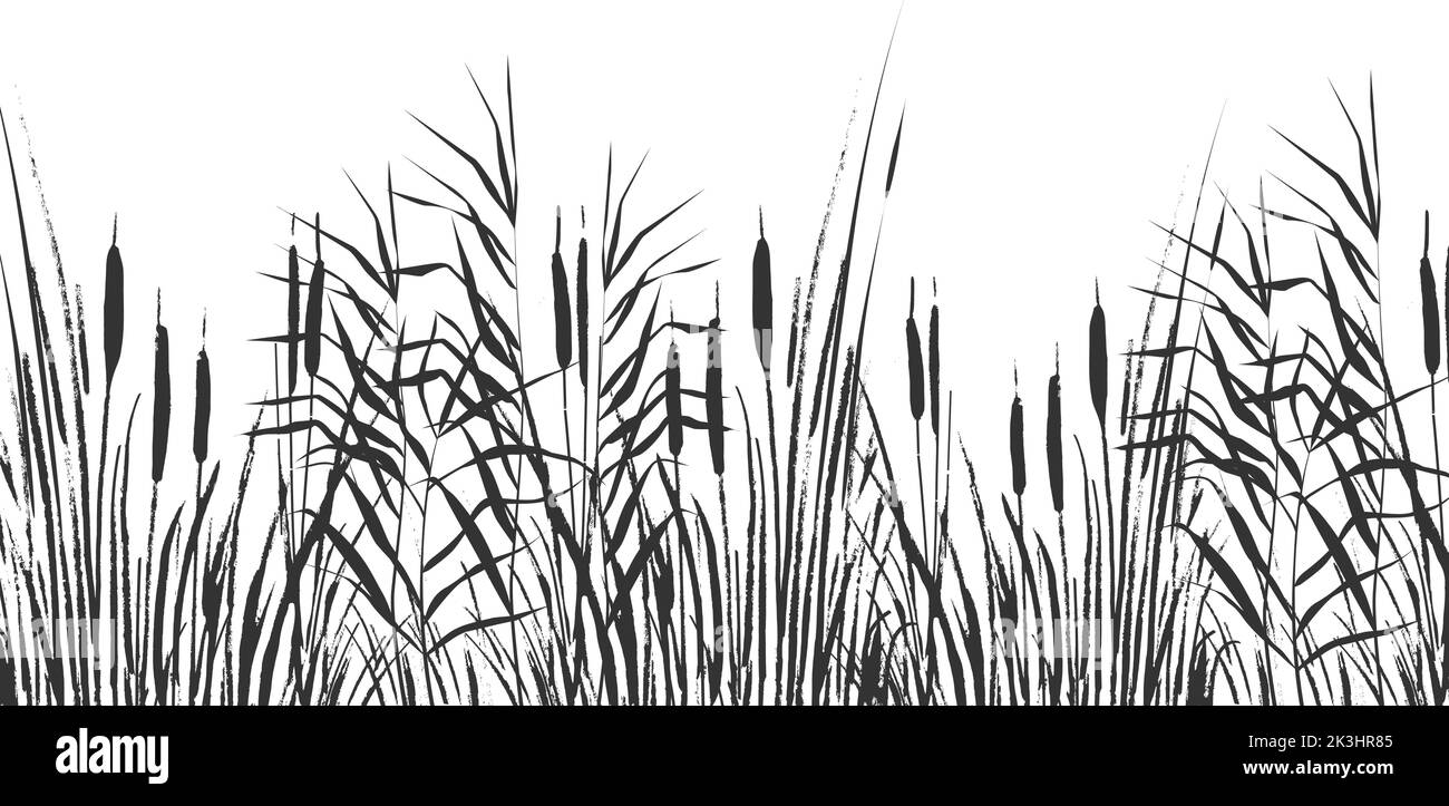 Bull rushes Stock Vector Images - Alamy