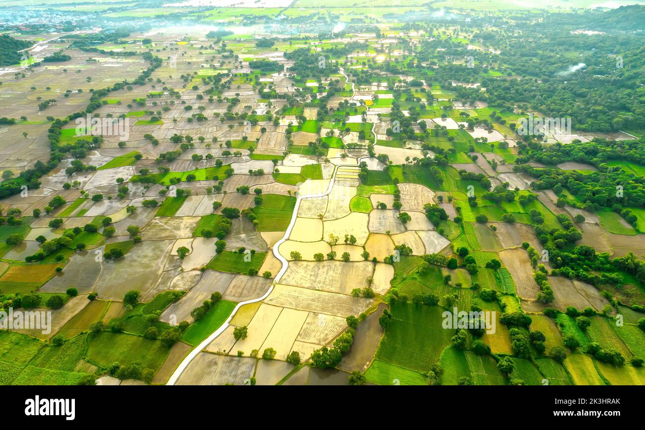 Ta Pa field after the rice harvest in the morning is beautiful. This ...