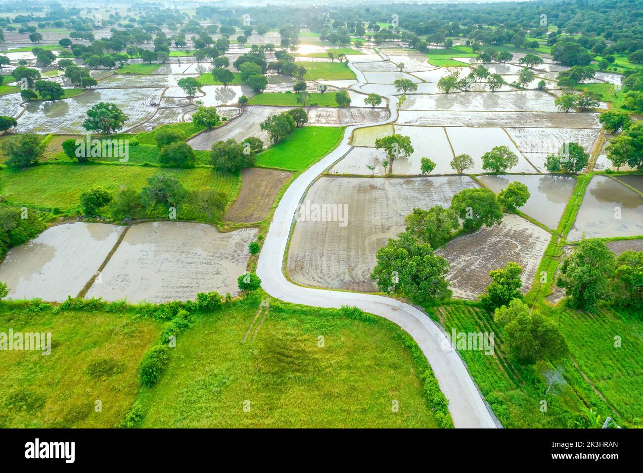 Ta Pa field after the rice harvest in the morning is beautiful. This ...