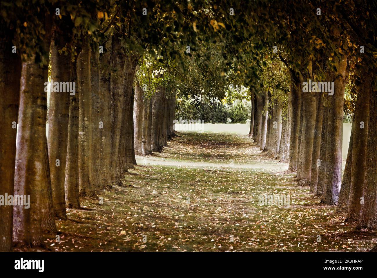 Wrest Park Gardens Silsoe Bedfordshire UK Stock Photo - Alamy