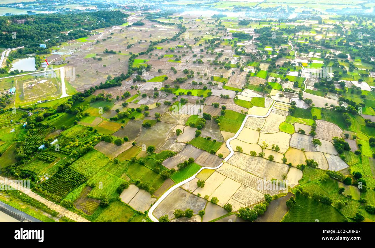 Ta Pa field after the rice harvest in the morning is beautiful. This ...