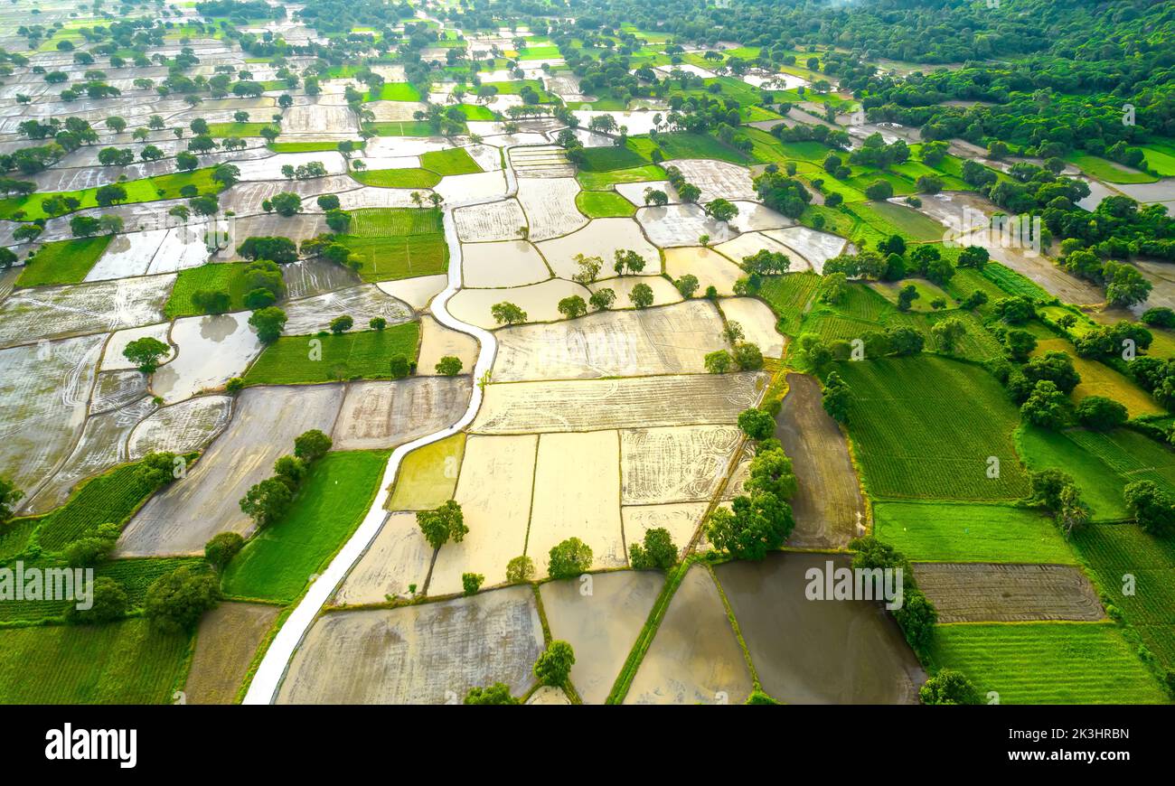 Ta Pa field after the rice harvest in the morning is beautiful. This ...