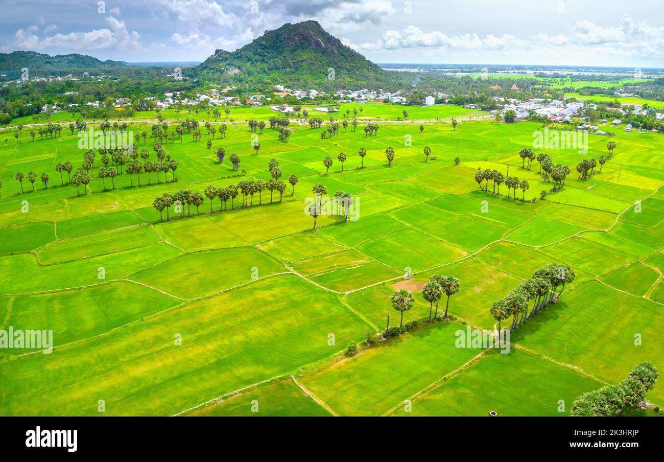 Ta Pa rice fields are beautiful in the morning, interspersed with ...