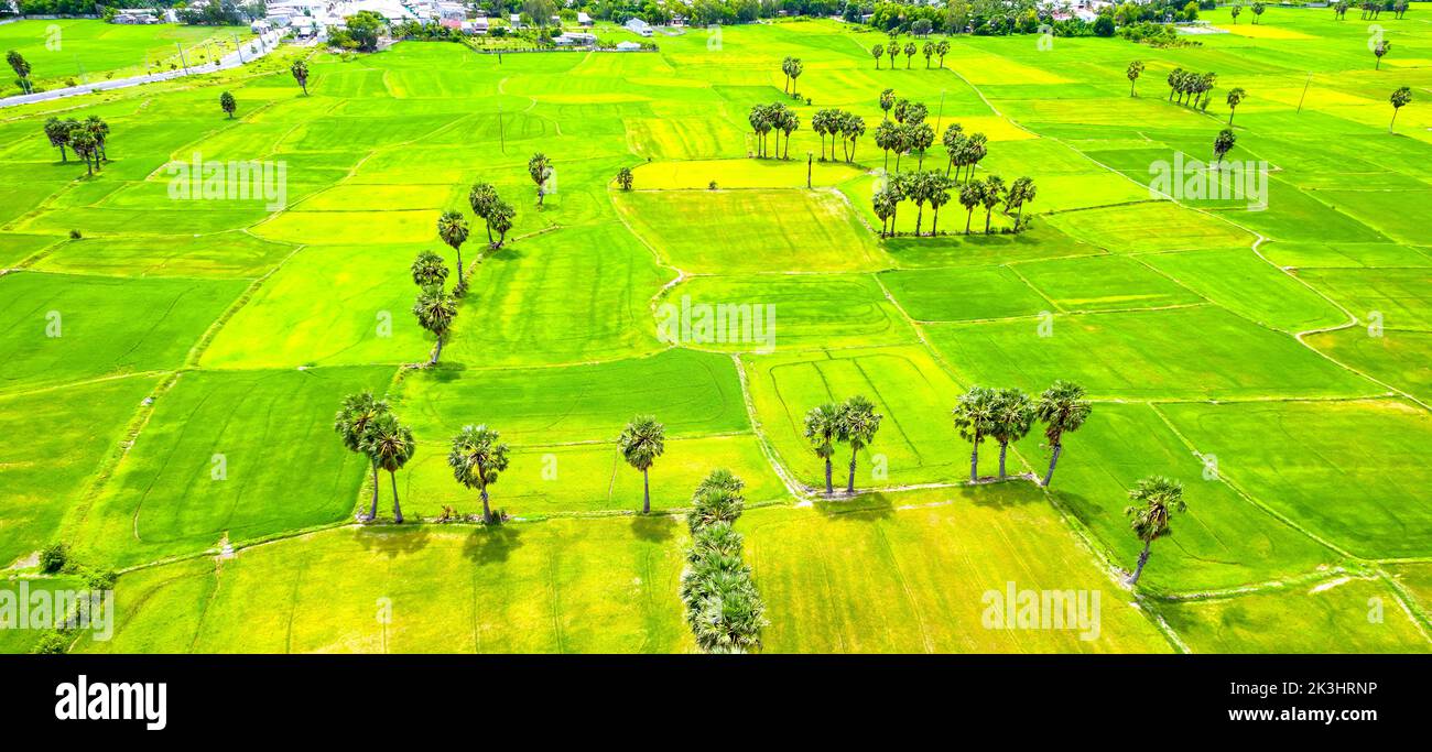 Ta pa rice fields, vietnam hi-res stock photography and images - Alamy