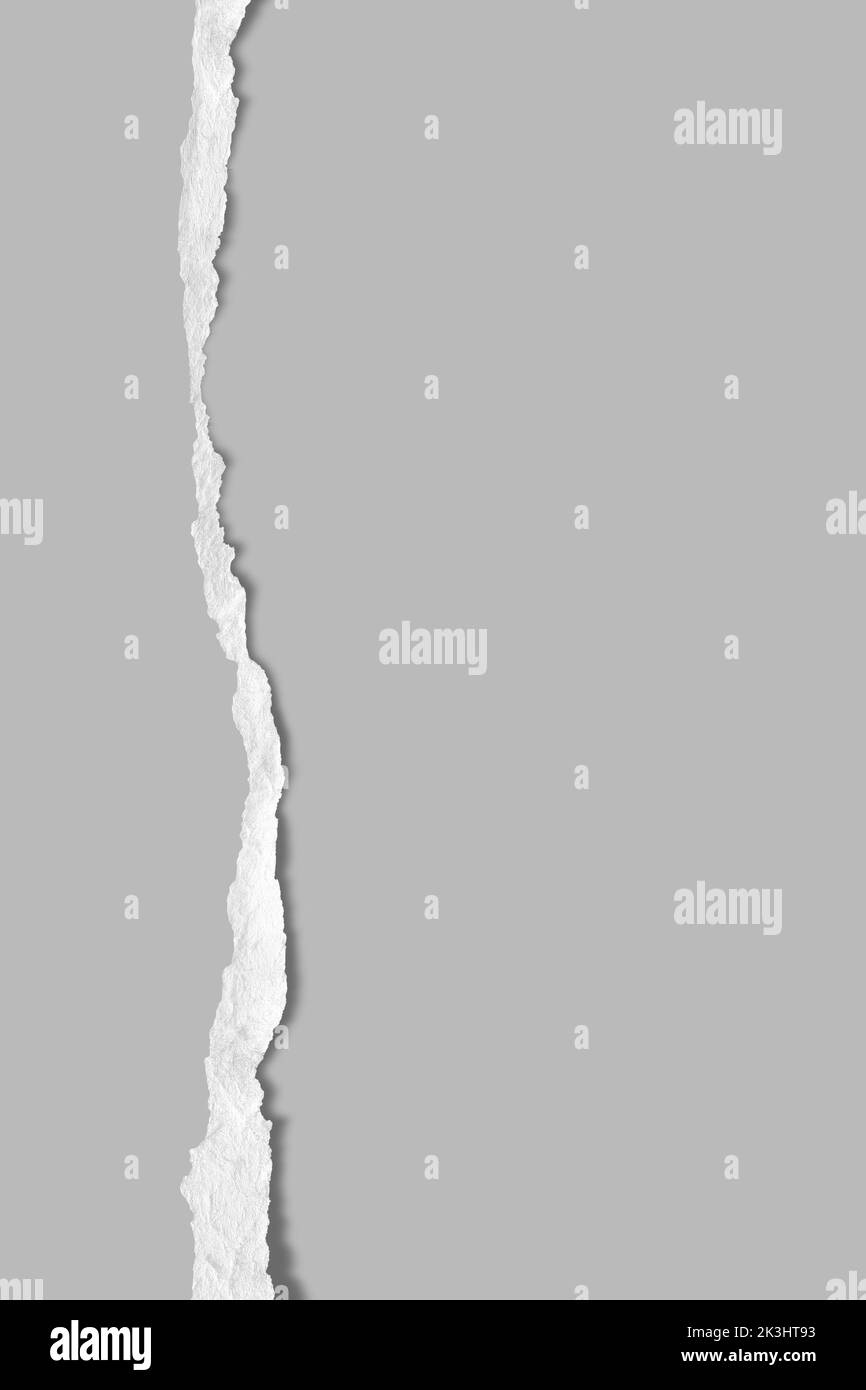 Grey vertical template ripped paper background. Trendy torn edges ...