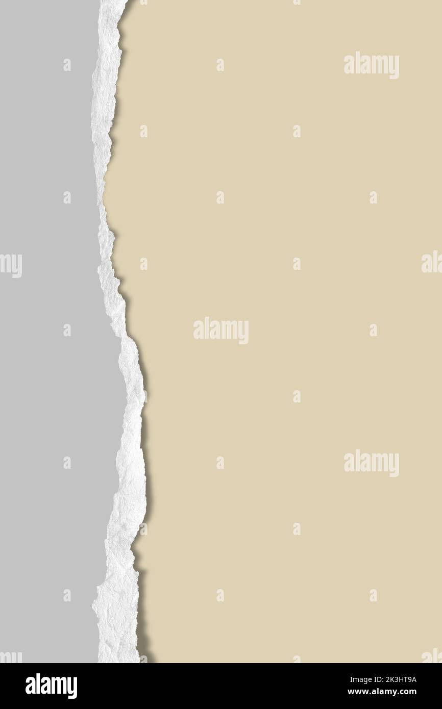 Template ripped paper background. Torn edges vertical banner Stock ...