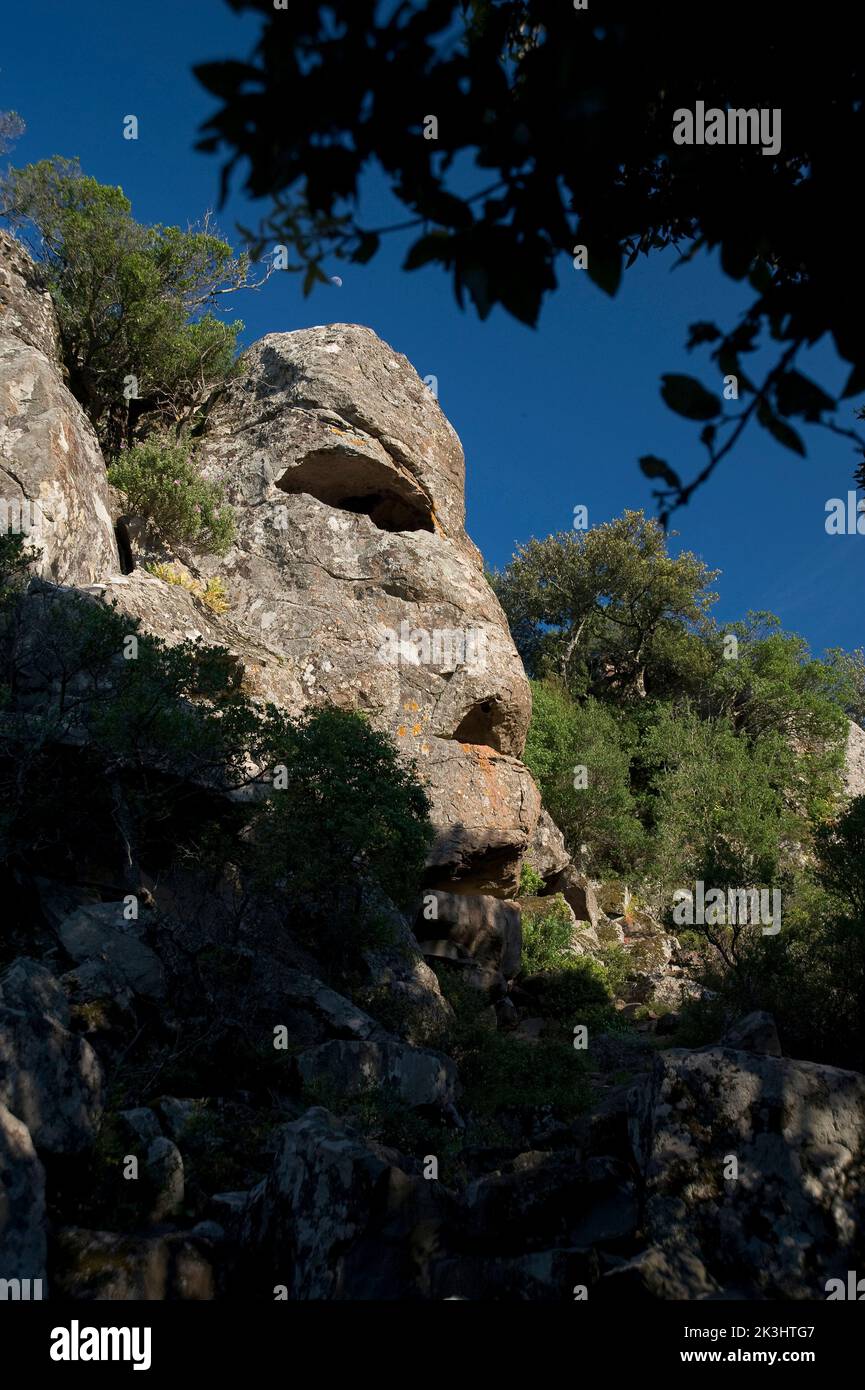 Faccia litica hi-res stock photography and images - Alamy