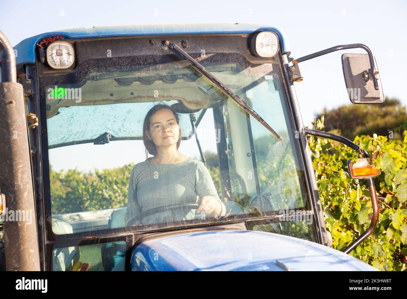 Female owner of vineyard behind glass in tractor cab Stock Photo - Alamy