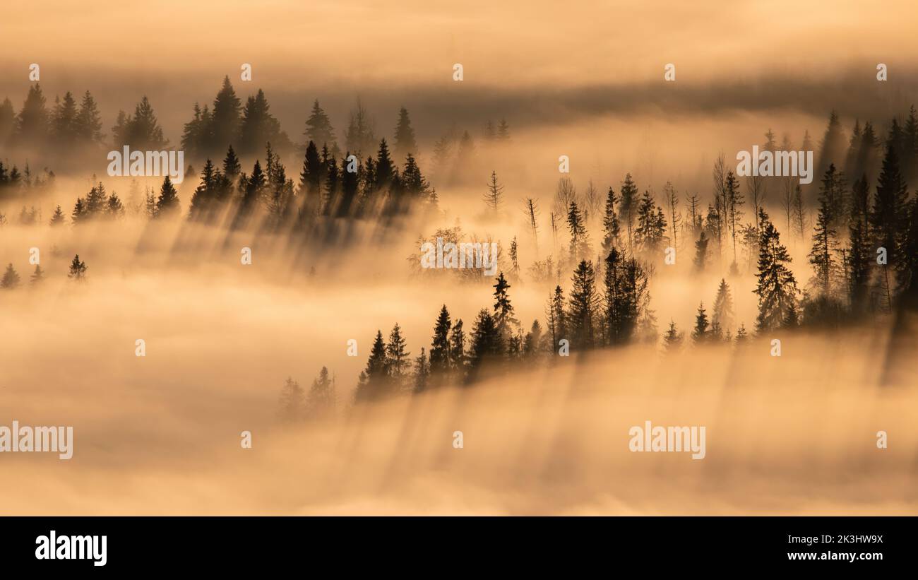 Rising sun casting shadows hi-res stock photography and images - Alamy