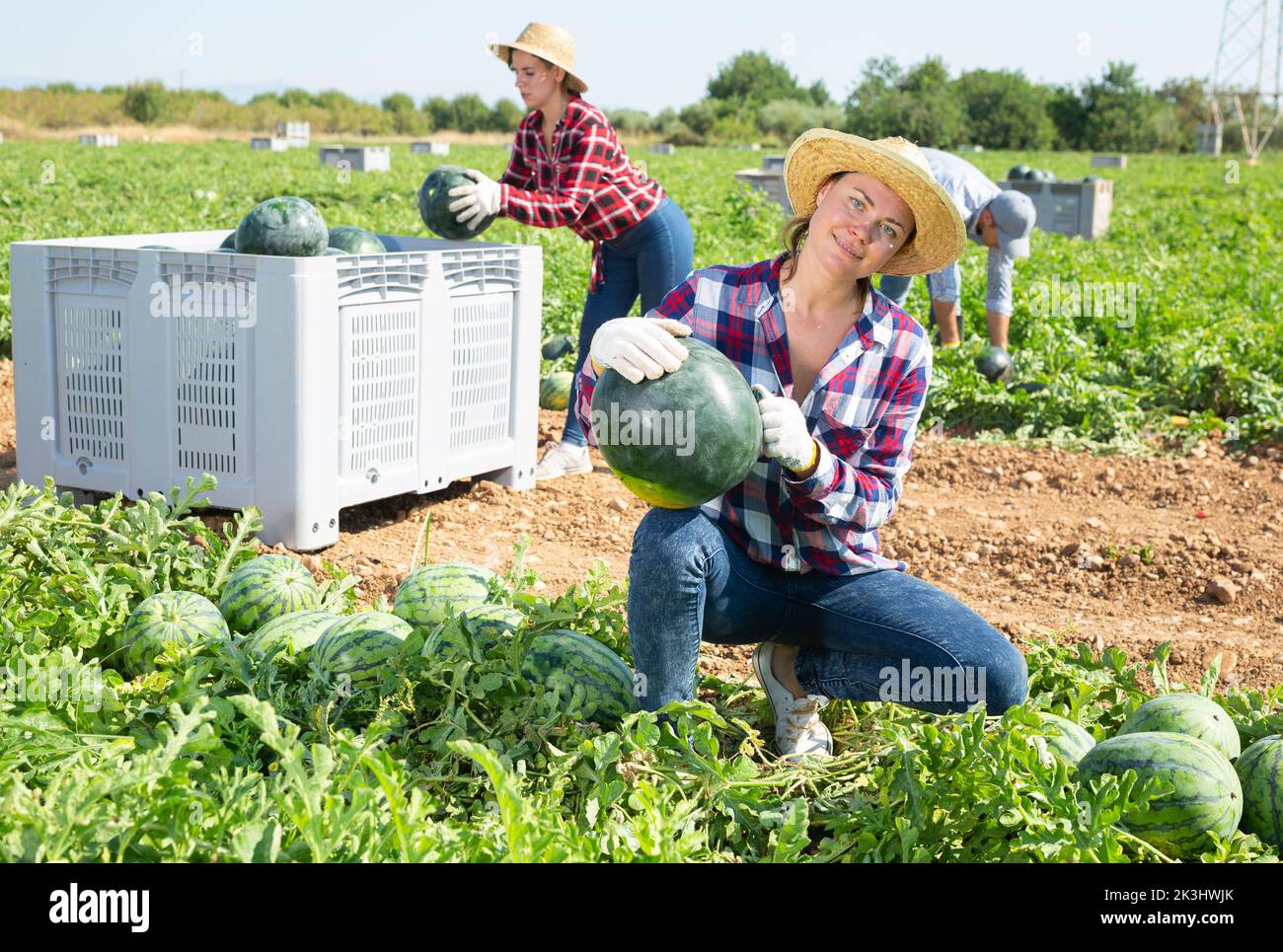 Portrait female farmer watermelon hi-res stock photography and images ...