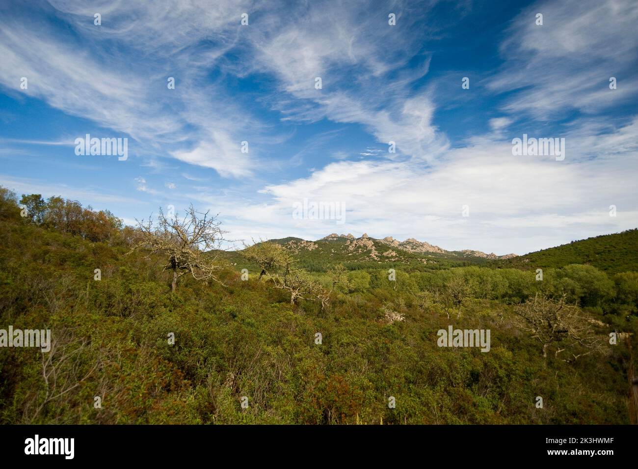 Sette Fratelli Mountain; Sette Fradis; Park; Sinnai; Forest; Stone ...