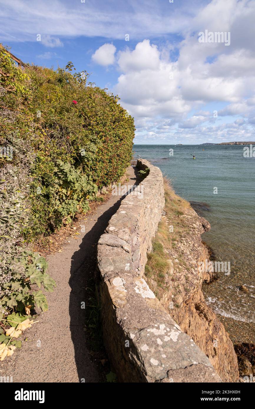 Anglesey coastal path at Bull Bay on the North Wales coast Stock Photo ...
