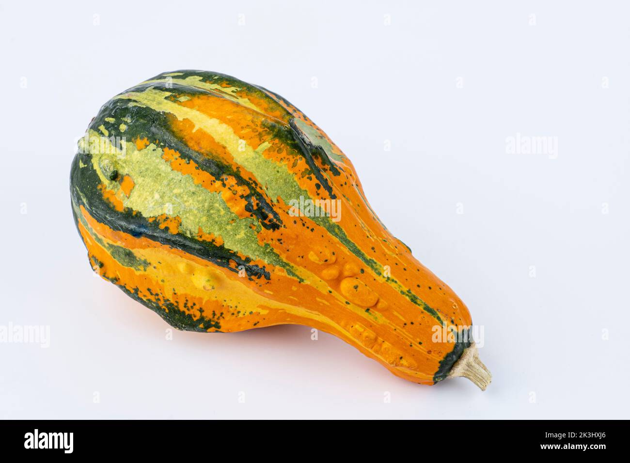 Shapely decorative gourd against a white background Stock Photo - Alamy