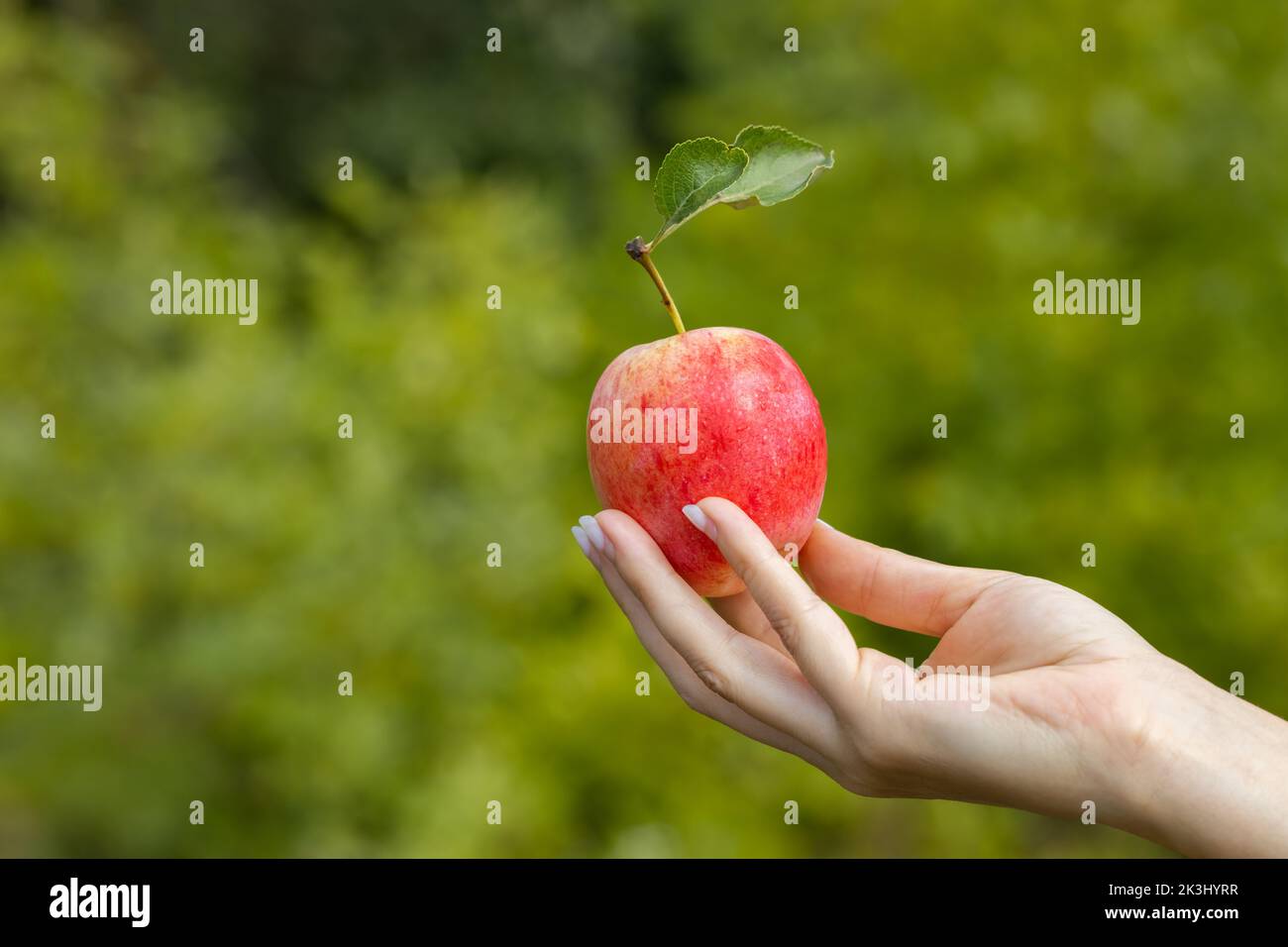 Man holding green apple hand hi-res stock photography and images - Alamy