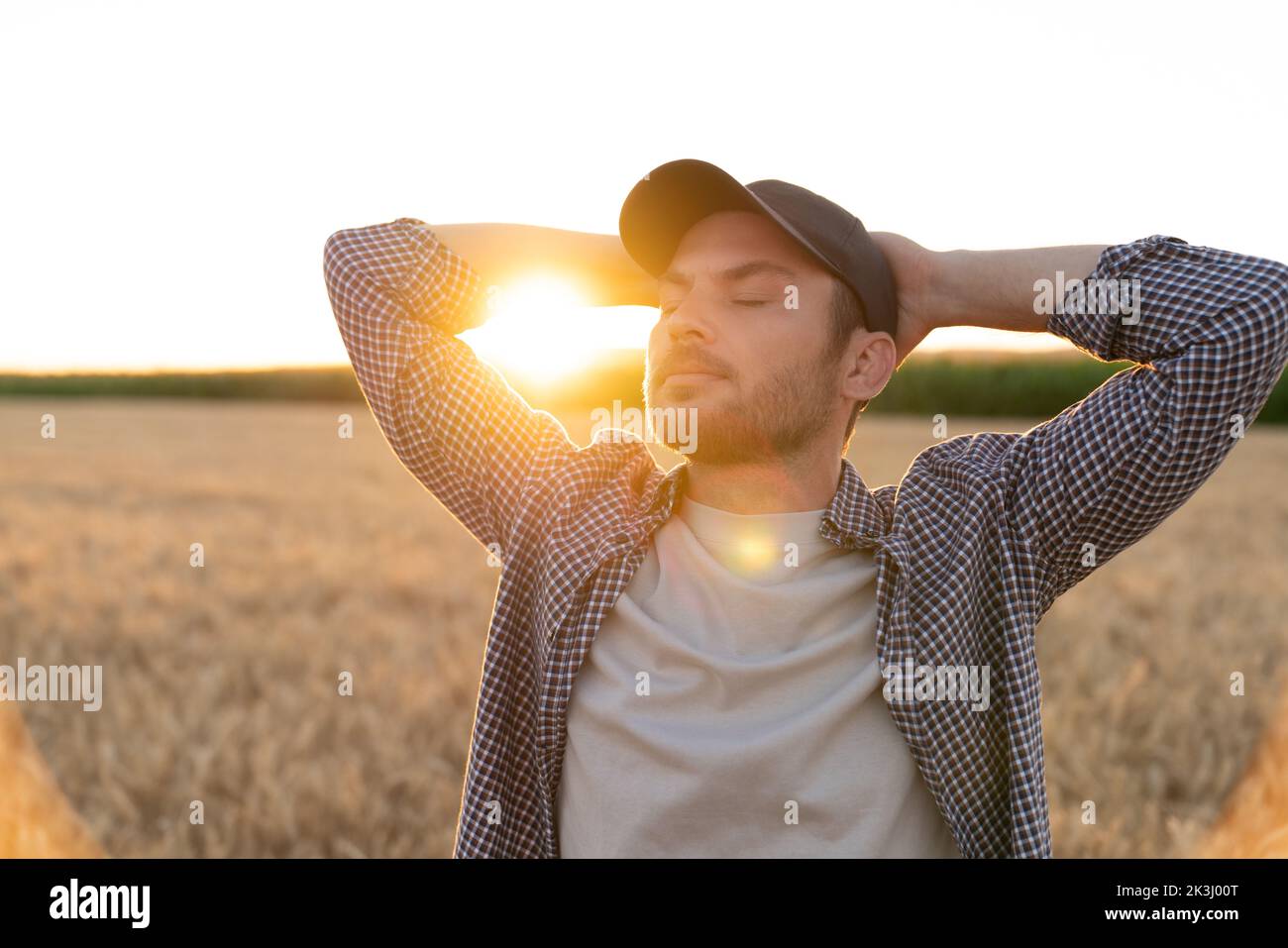 Bearded man farmer with hands behind head on agricultural field at ...