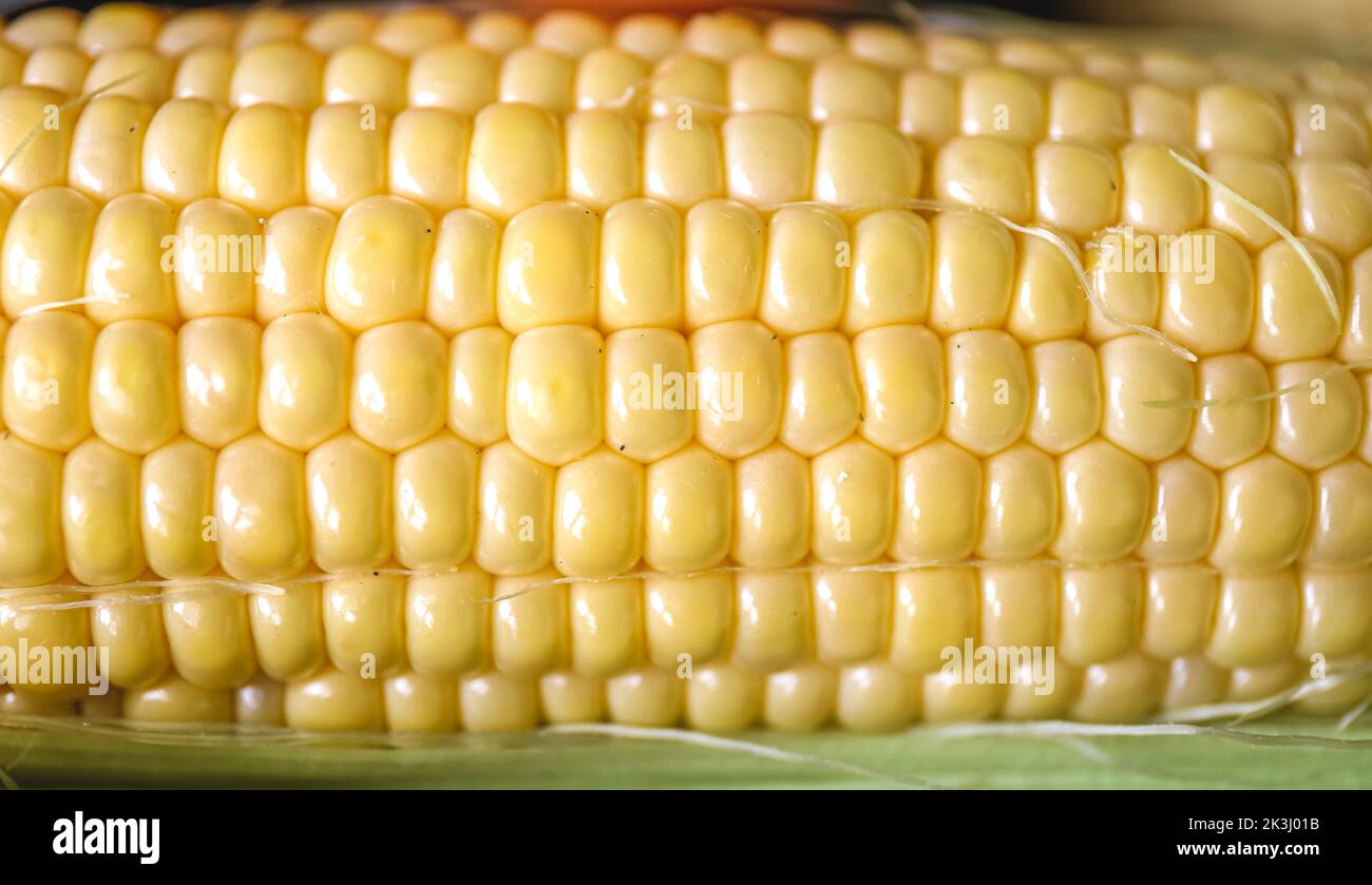 Natural background, fresh corn closeup, macro shot Stock Photo - Alamy