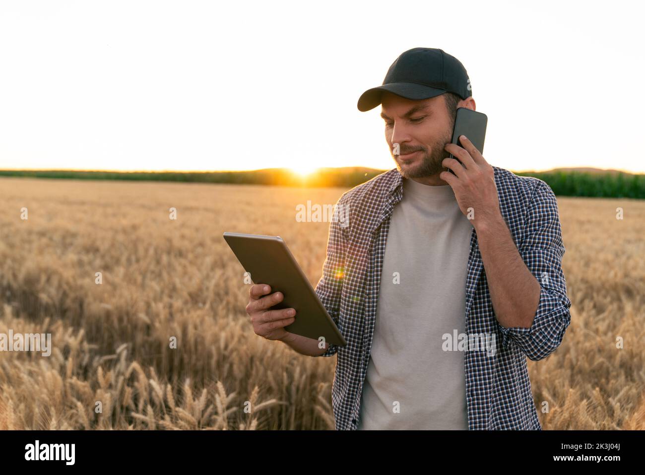 Bearded farmer with mobile phone and digital tablet in agricultural ...