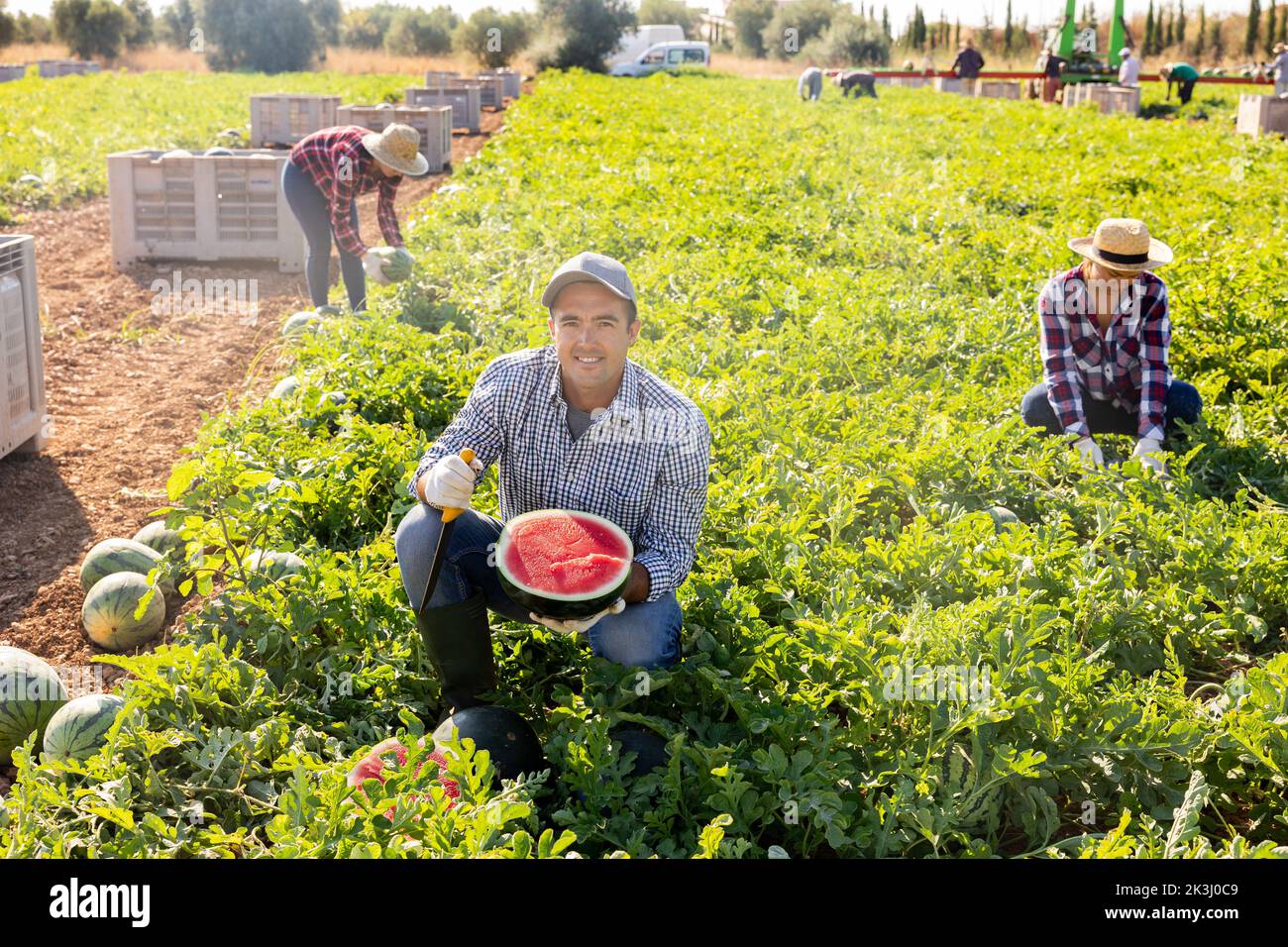 Farmer half watermelon in hi-res stock photography and images - Alamy