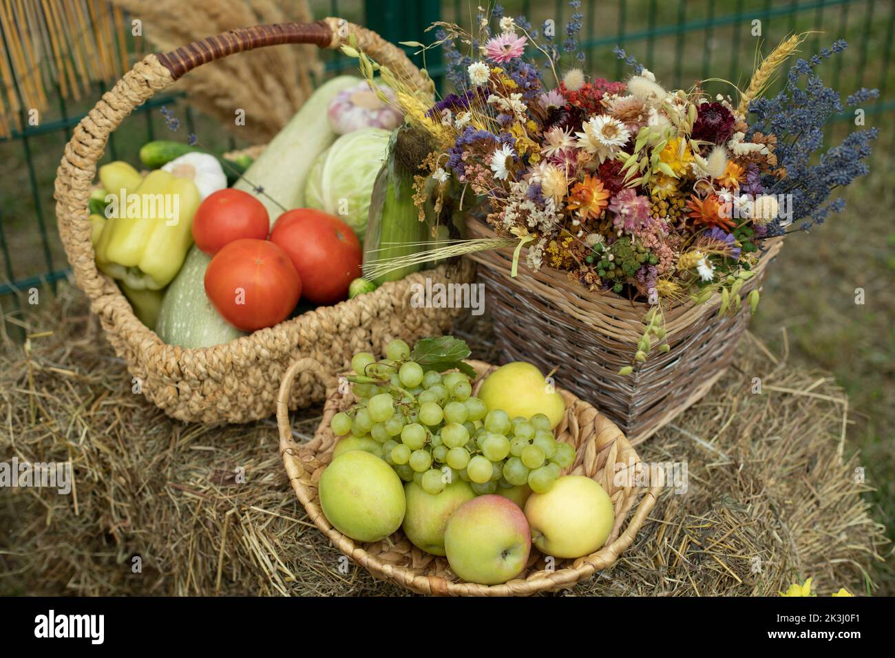 Harvest in autumn. Healthy food. Fresh food from garden Stock Photo - Alamy