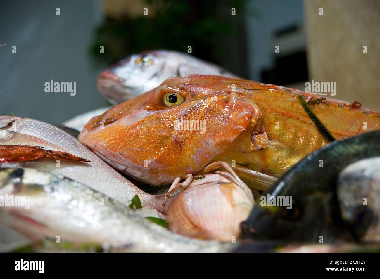 Fish, Mercato San Benedetto, Cagliari, Sardinia, Italy Stock Photo - Alamy