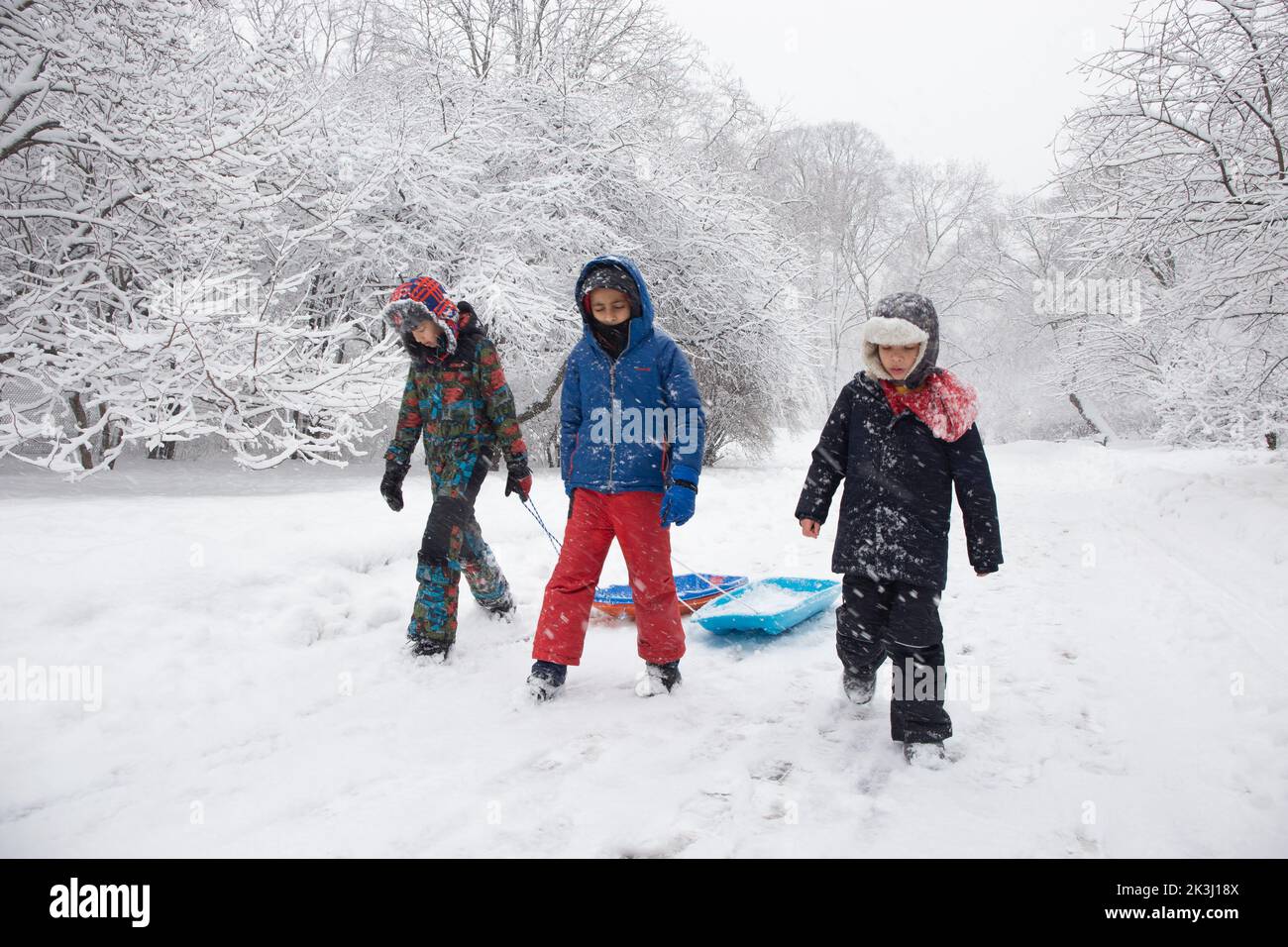 Boys in snow on sled hi-res stock photography and images - Alamy