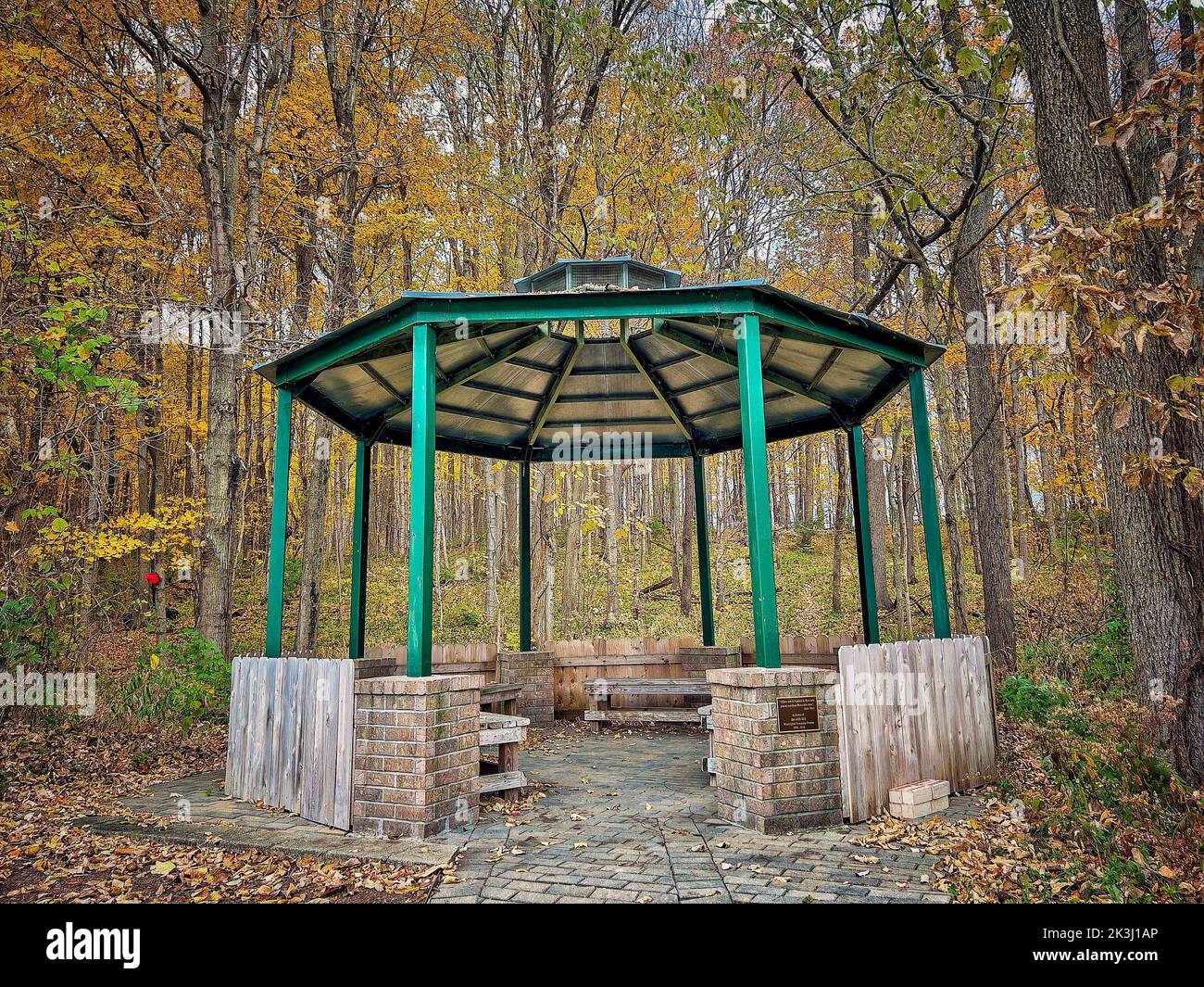 A forest gazebo captured surrounded by autumn foliage Stock Photo - Alamy