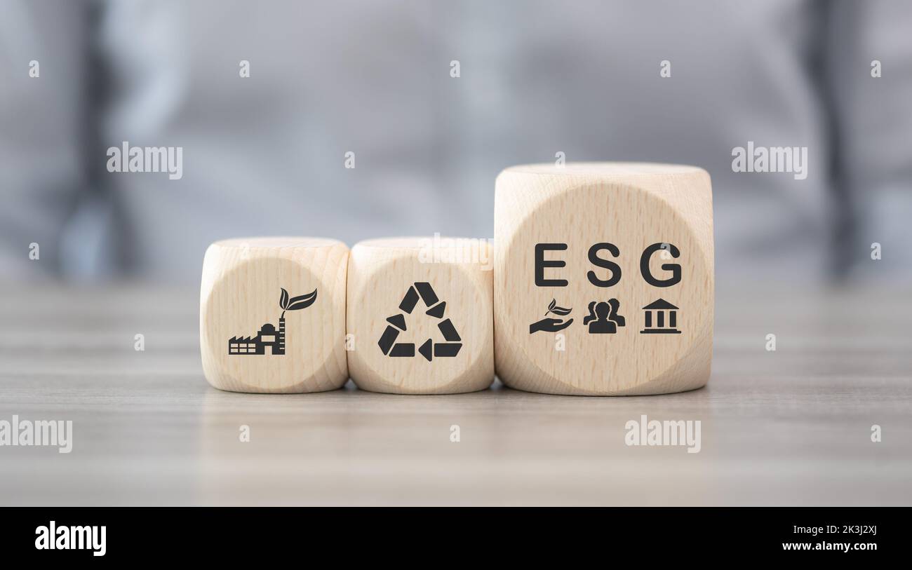 Wooden blocks with symbol of esg concept Stock Photo - Alamy