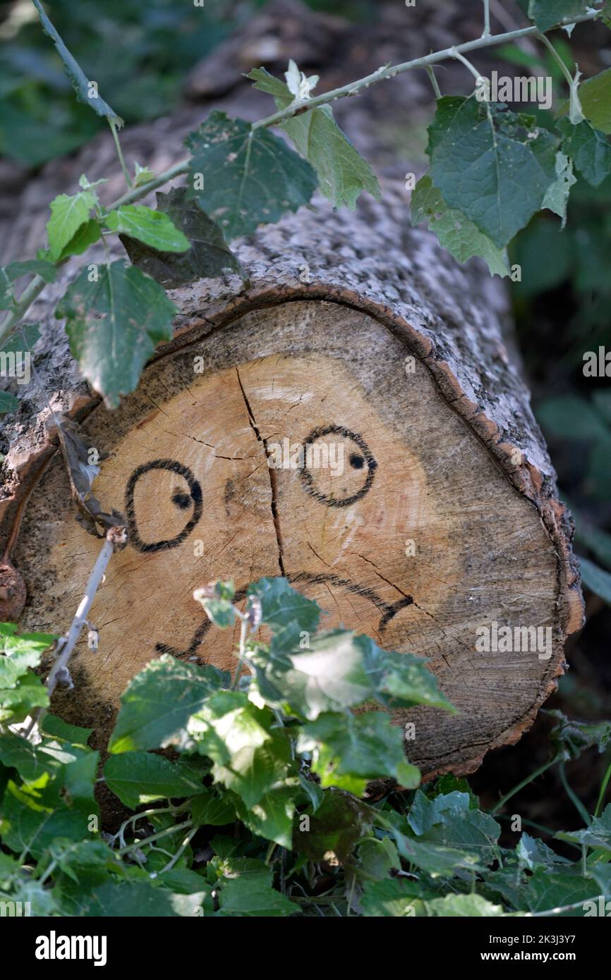 face drawn on end of cut down tree trunk Stock Photo - Alamy