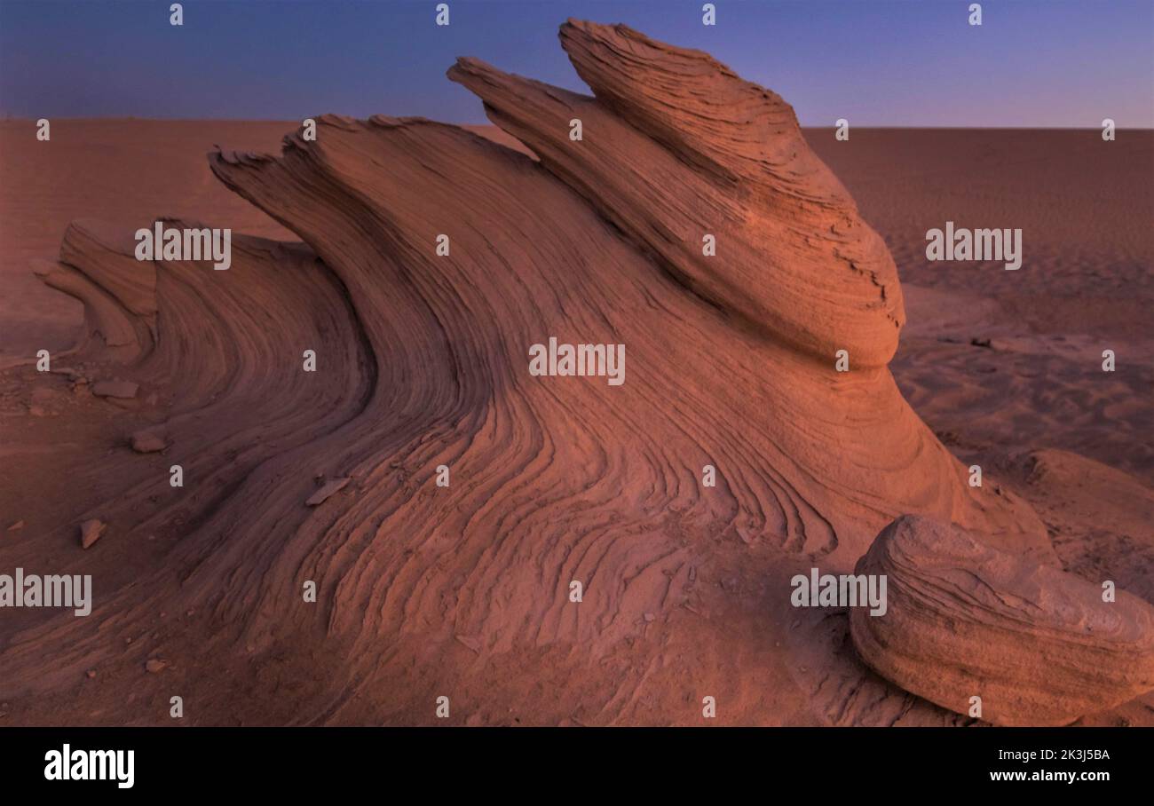 Fossil rocks or sand formations in a desert near Abu Dhabi, UAE Stock ...