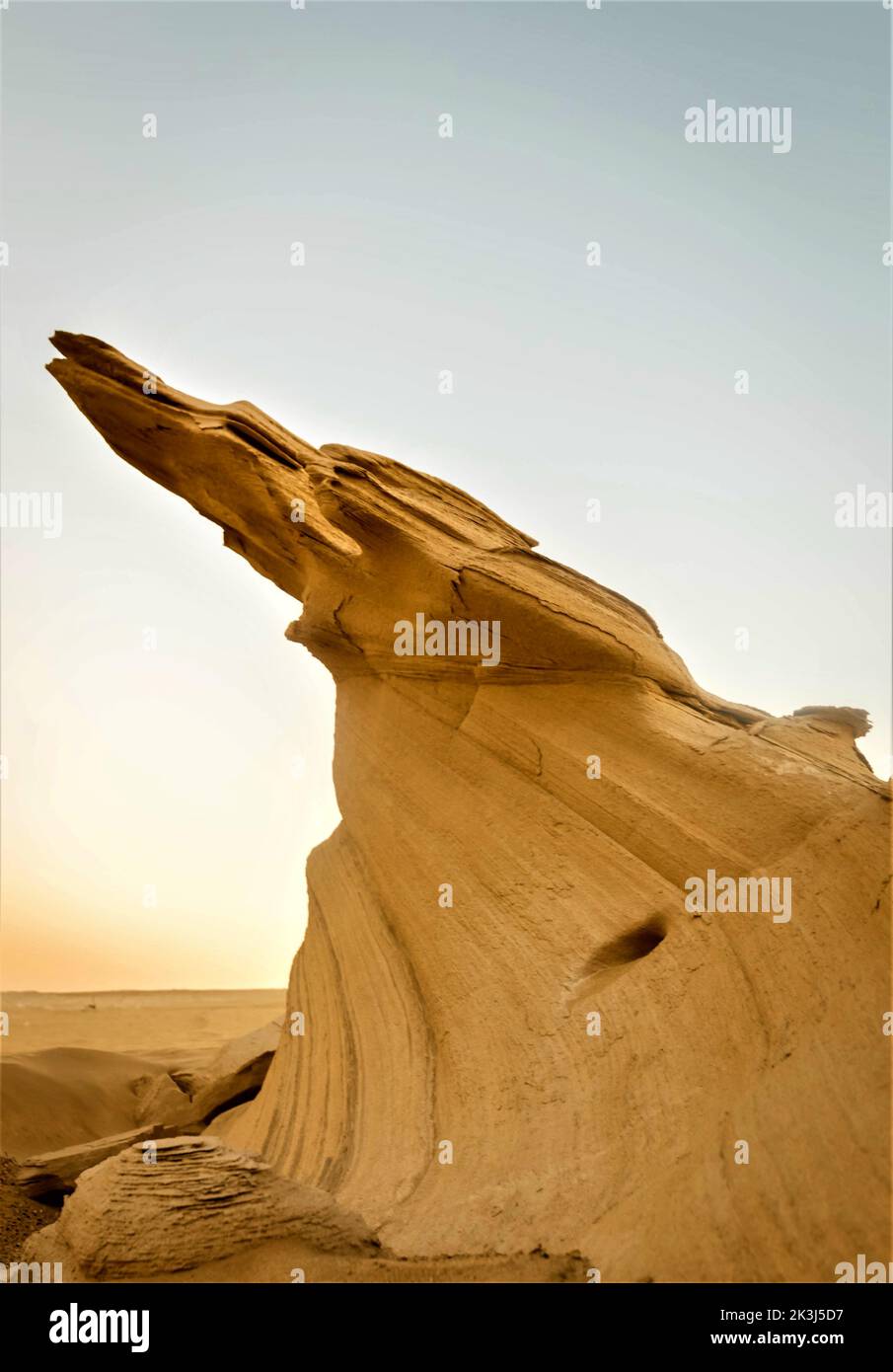 Fossil rocks or sand formations in a desert near Abu Dhabi, UAE Stock ...