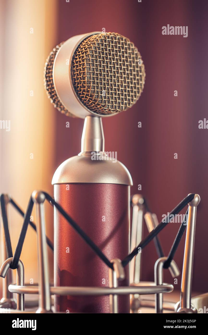 Professional microphone for sound recording, macro photography Stock ...