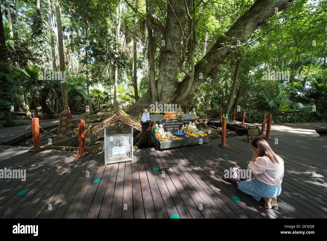 Wat Kham Chanot in the province udon thani, isaan thailand. it is a beautiful and popular ...