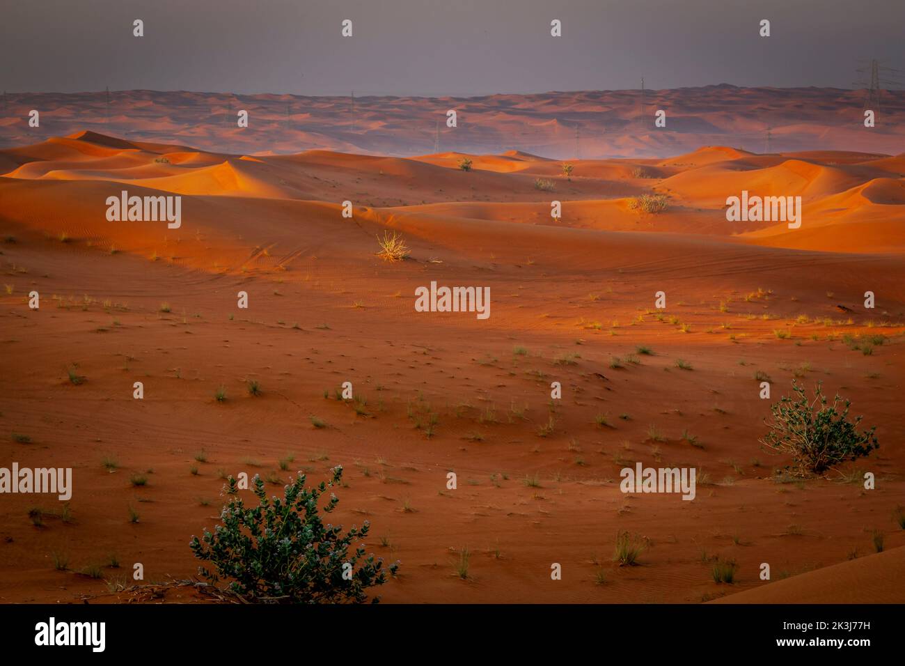 Maleha desert. Maleha is a big dunes in Sharjah, UAE. Fossil rock or ...