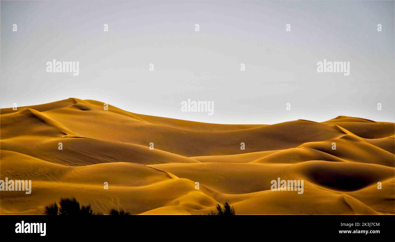 Maleha desert. Maleha is a big dunes in Sharjah, UAE. Fossil rock or ...
