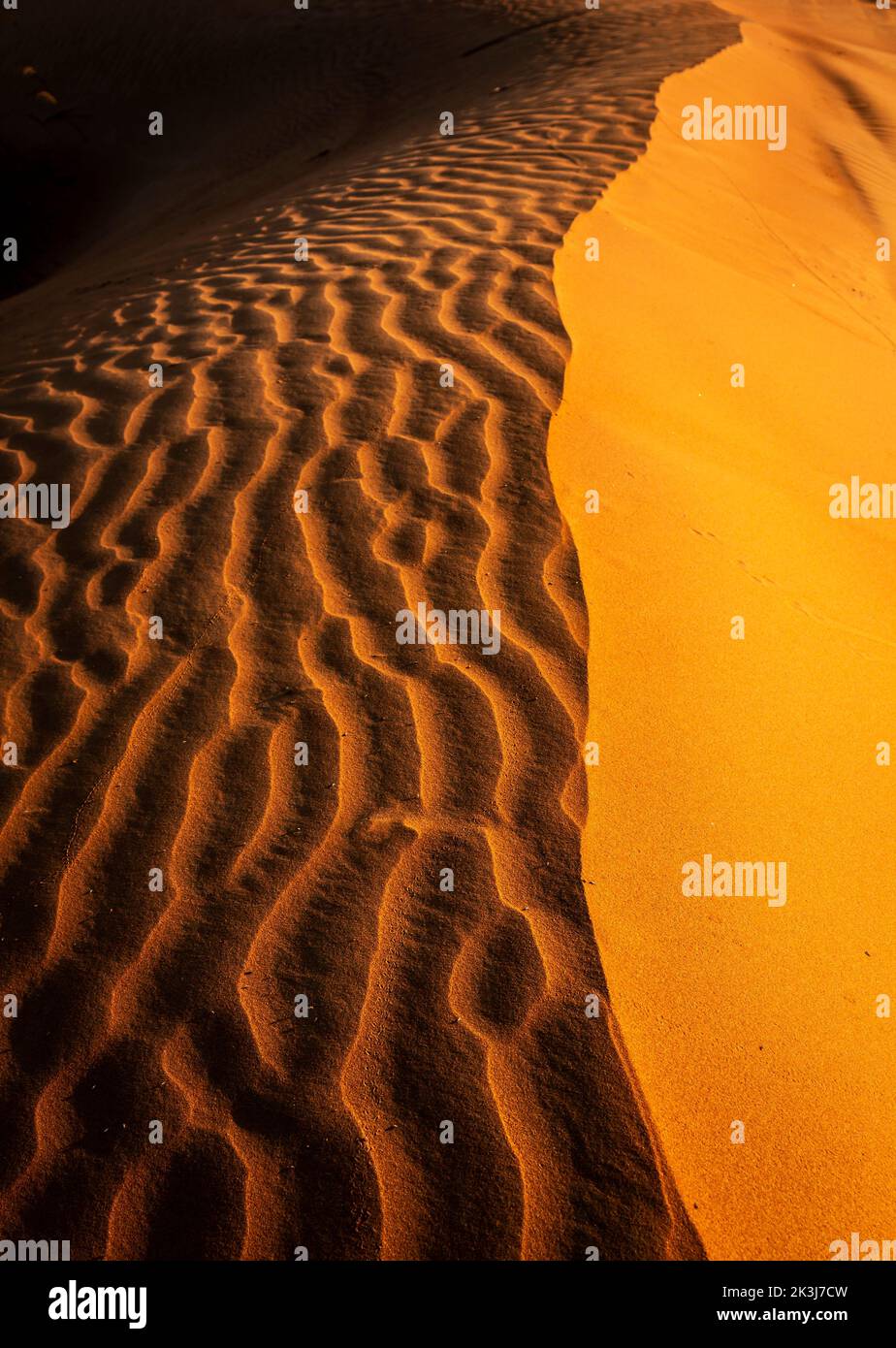 Maleha desert. Maleha is a big dunes in Sharjah, UAE. Fossil rock or ...
