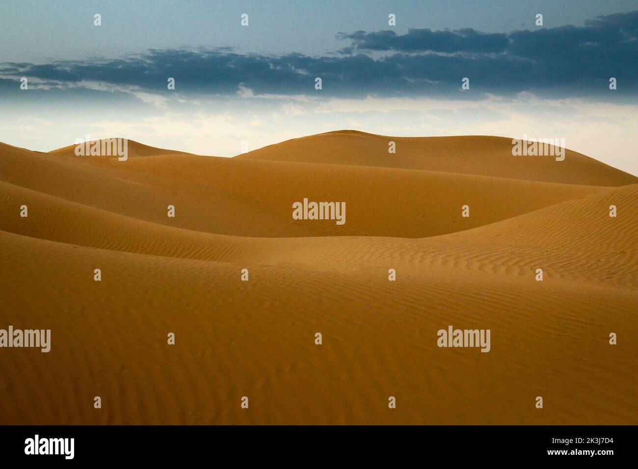 Maleha desert. Maleha is a big dunes in Sharjah, UAE. Fossil rock or ...