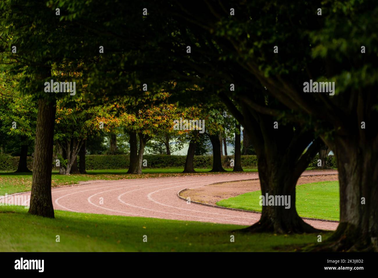 Laps - A running track through the Trees Stock Photo - Alamy