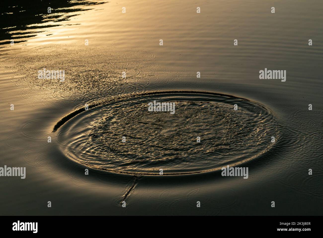 Shawka Dam, which is situated in Wadi Shawka on the eastern exteriors ...