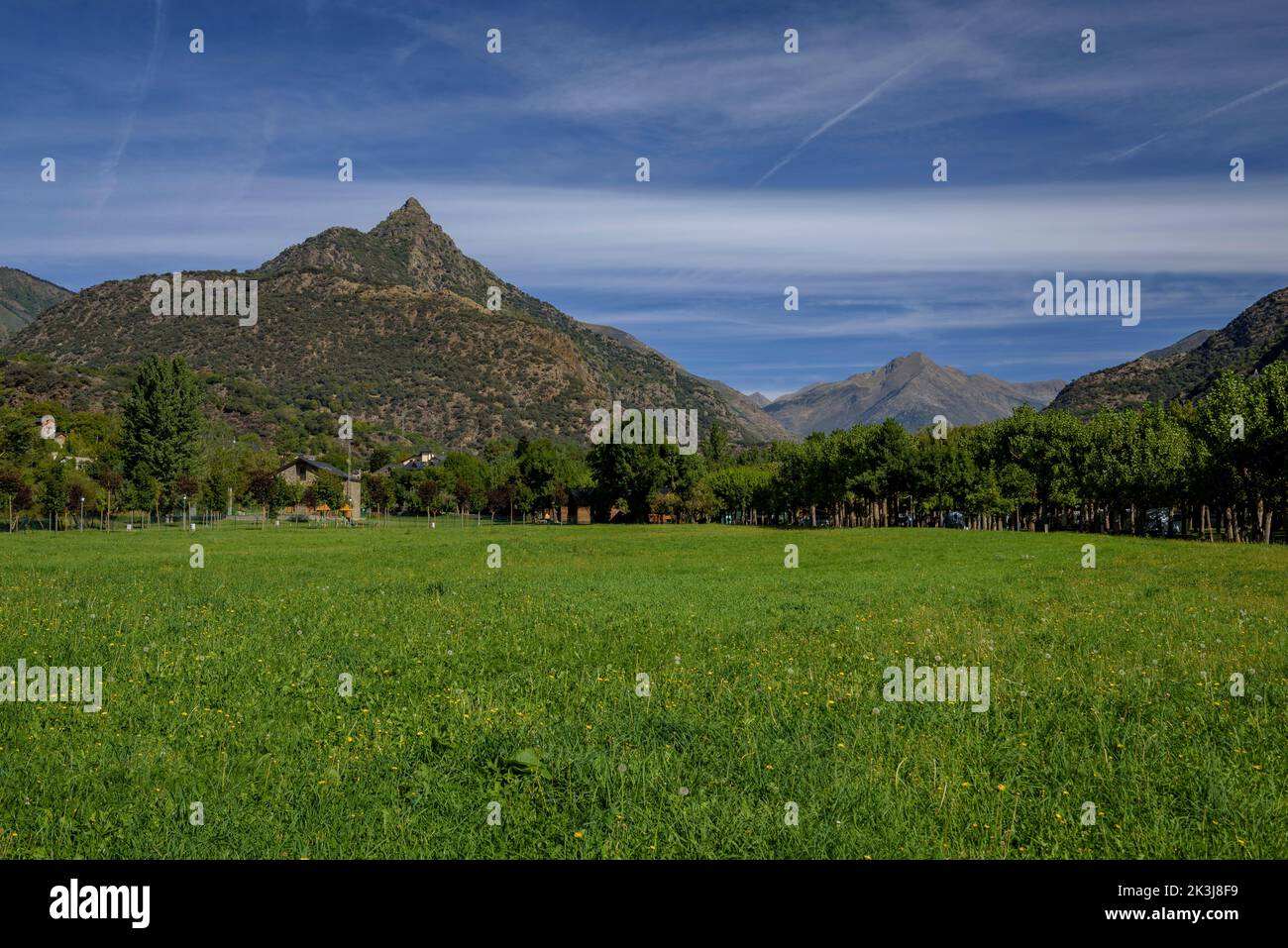 Green spring fields in Ribera de Cardós, in the Cardós valley. In the ...