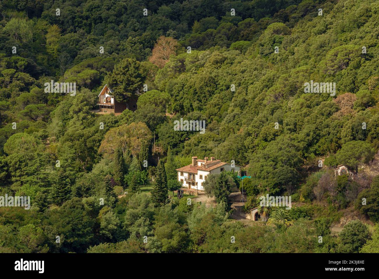 Casas wald hi-res stock photography and images - Alamy