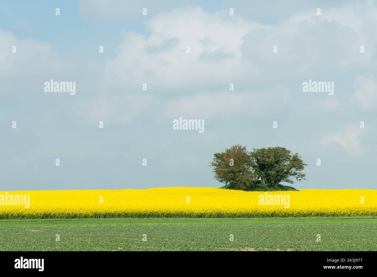 Tumulus denmark hi-res stock photography and images - Alamy