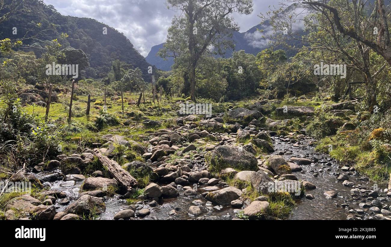 a Beautiful landscape with streaming water, greenery and rocks Stock ...