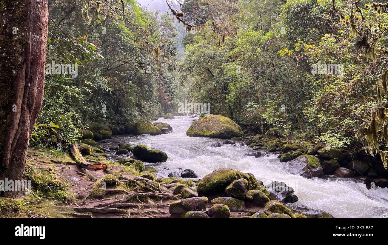a beautiful landscape with streaming water, greenery and rocks Stock ...